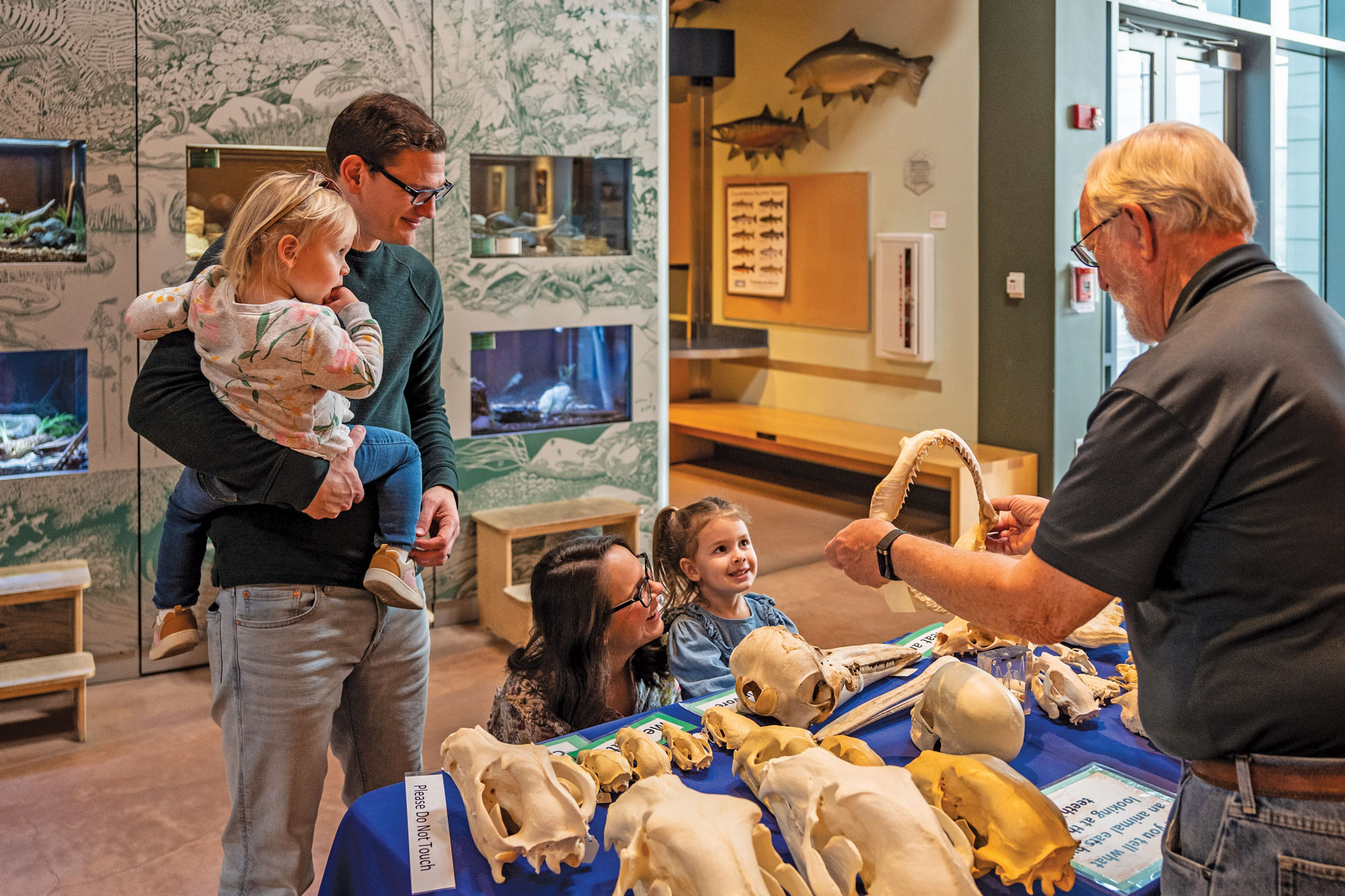 Love To Learn: North State Museums Hold True Treasures - North State ...