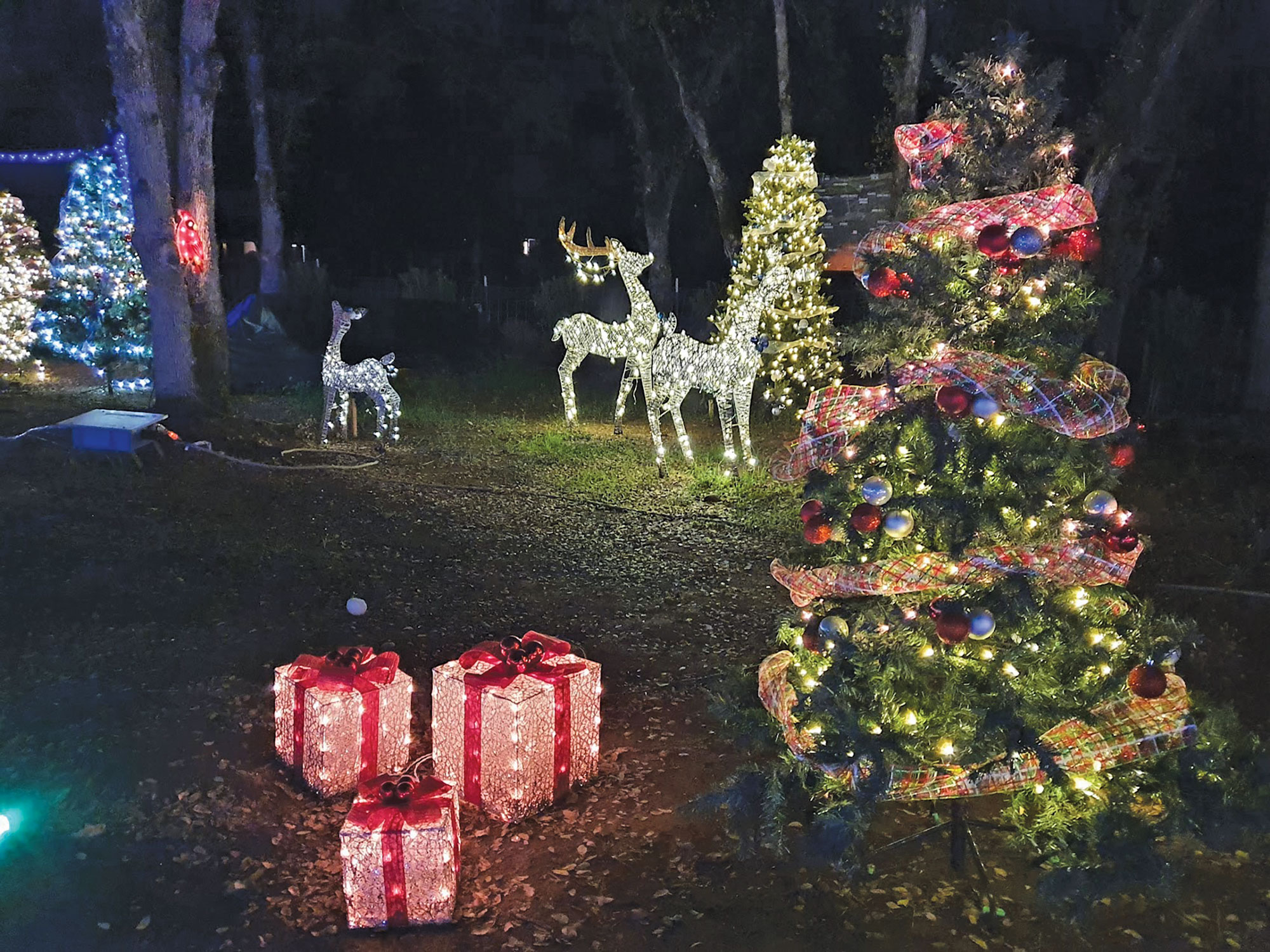 Holiday Celebrations in the North State - Fun Ways to Spark YOUR Family ...