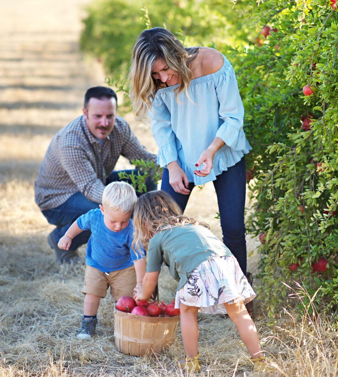 Take the Fear out of Halloween with Nature Connections - North State ...