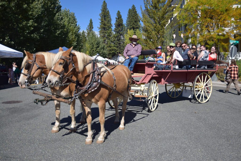 Harvest Happenings 2024 - North State Parent magazine