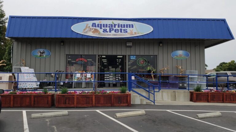 Aquarium & Pets: Pet Visits! - North State Parent magazine